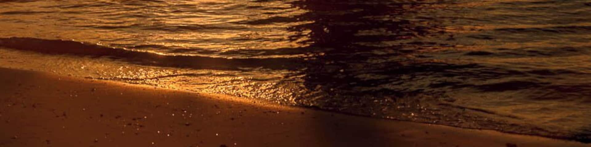 #goldenhour on the spice island. Zanzibar is a great place to relax after the crazy towns of Moshi and Arusha in Tanzania.