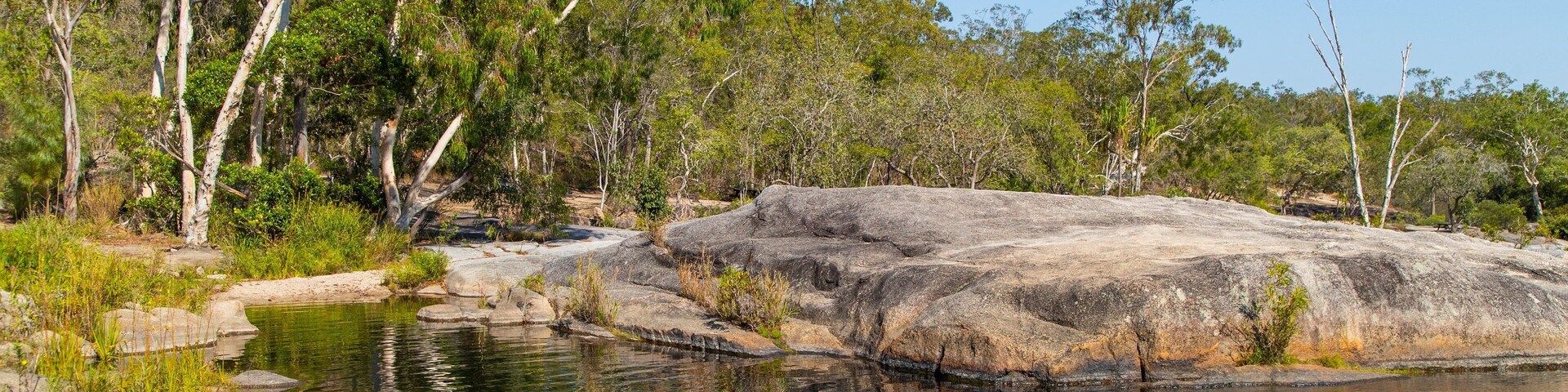 Davies Creek National Park which includes tranquil scenes and a lake or waterhole