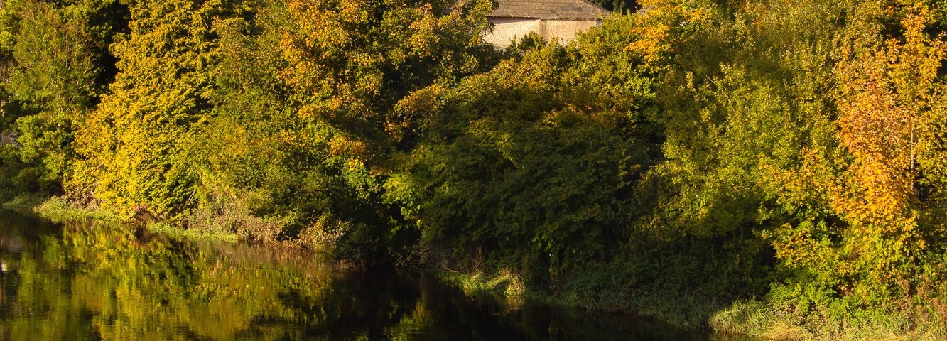 Uma torre histórica refletida em águas calmas, rodeada por folhagem outonal.