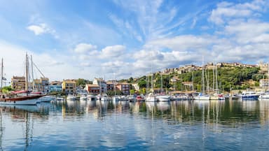 Uma marina com barcos atracados, uma colina com edifícios e um céu claro.
