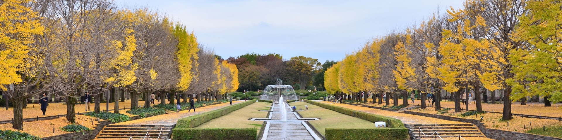国営昭和記念公園