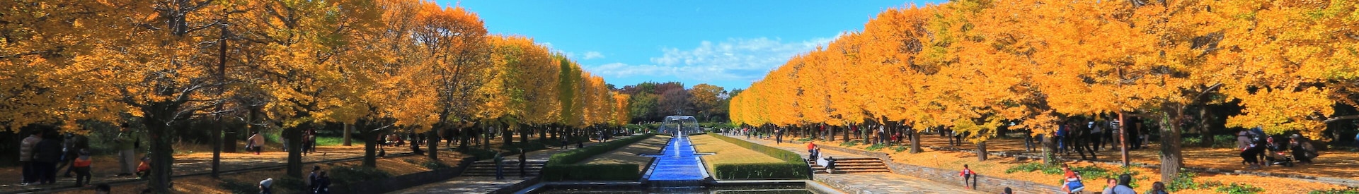 Um parque com um espelho de água central, rodeado por árvores com folhagem outonal.