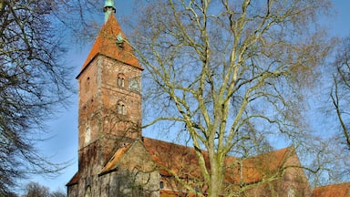 Uma igreja histórica com uma torre alta e uma grande árvore em frente.