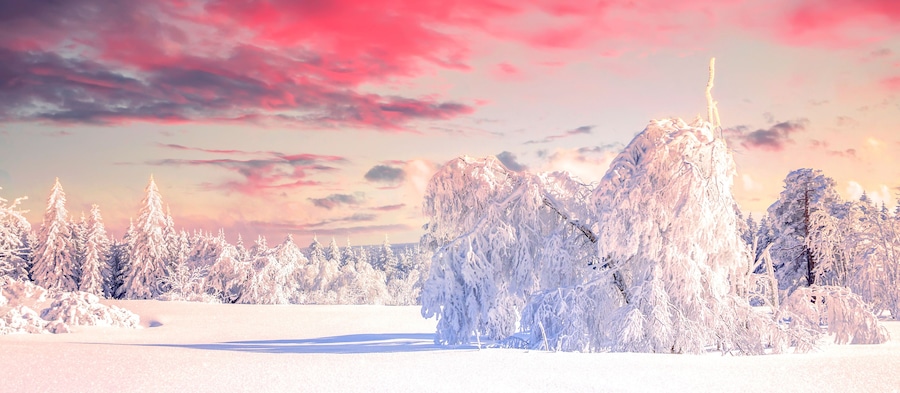 Paisagem coberta de neve, com uma montanha e árvores ao fundo.