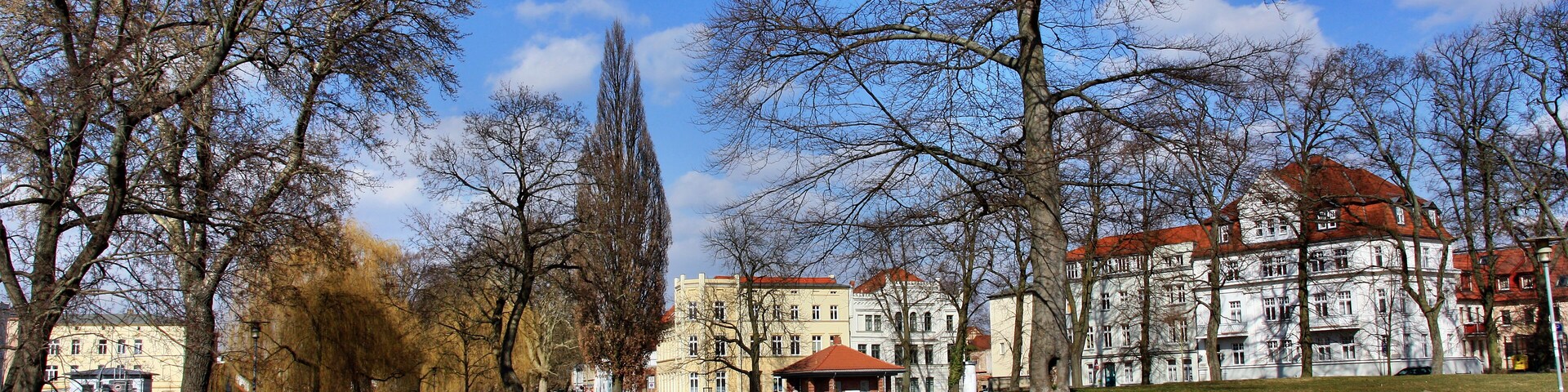 Um parque com árvores, uma torre alta e edifícios históricos ao fundo.