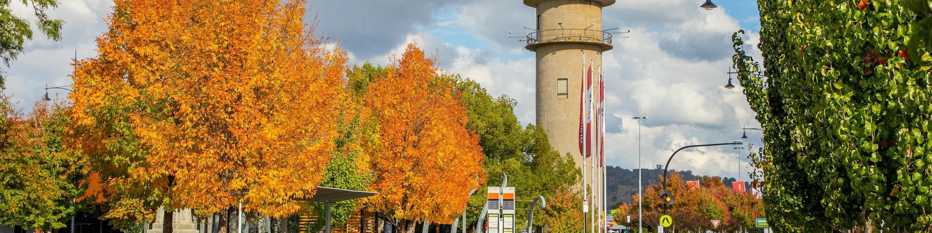 Wodonga which includes a park and fall colors