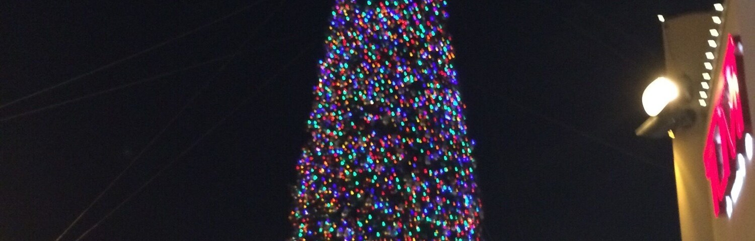 Longest Christmas tree in the world...