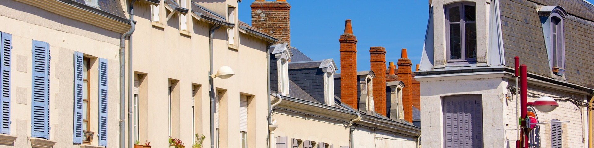 Vierzon featuring heritage elements