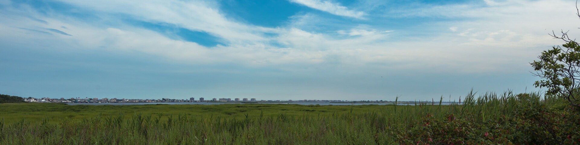 Paisagem costeira com céu claro, vegetação verde e silhueta distante de uma cidade.