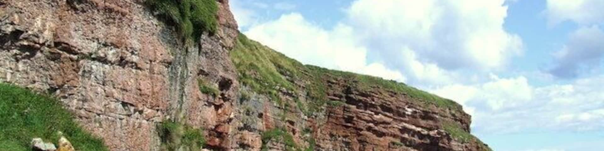 Boulders under cliffs, Auchmithie The boulders under the cliff at this point are above the high water point and as such have a thick covering of yellow lichen. In the background is a headland with an arch. On the OS map this is marked as Maw Skelly I am unsure if this refers to the headland and if the arch has a name of its own?