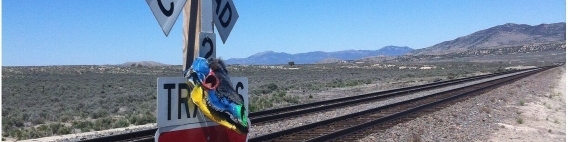 What you might expect to find in the Nevada desert.