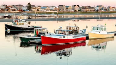 Uma marina com vários barcos atracados, uma extensão de água calma e casas ao fundo.