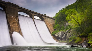 Uma barragem com água caindo, uma ponte e uma encosta arborizada.