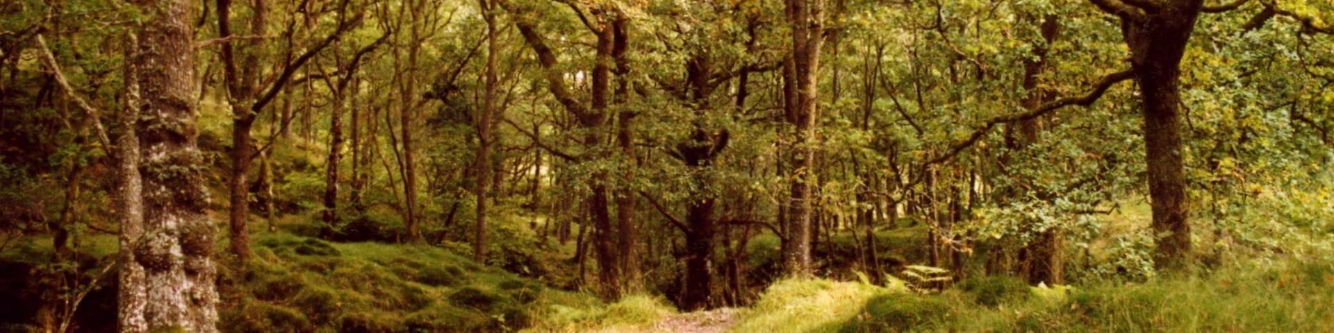 walk to Ben Venue summit