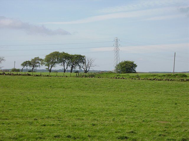 Cowhill. Grazing land outside Whitburn. Note the field boundaries, lines of dolerite boulders cleared from the fields. Central Scotland has many areas of igenous rocks.