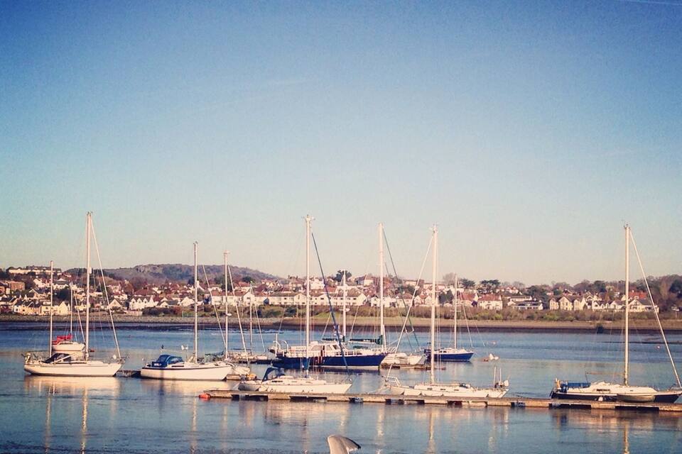 Uma marina com vários veleiros atracados, um pássaro em primeiro plano e uma cidade ao fundo.