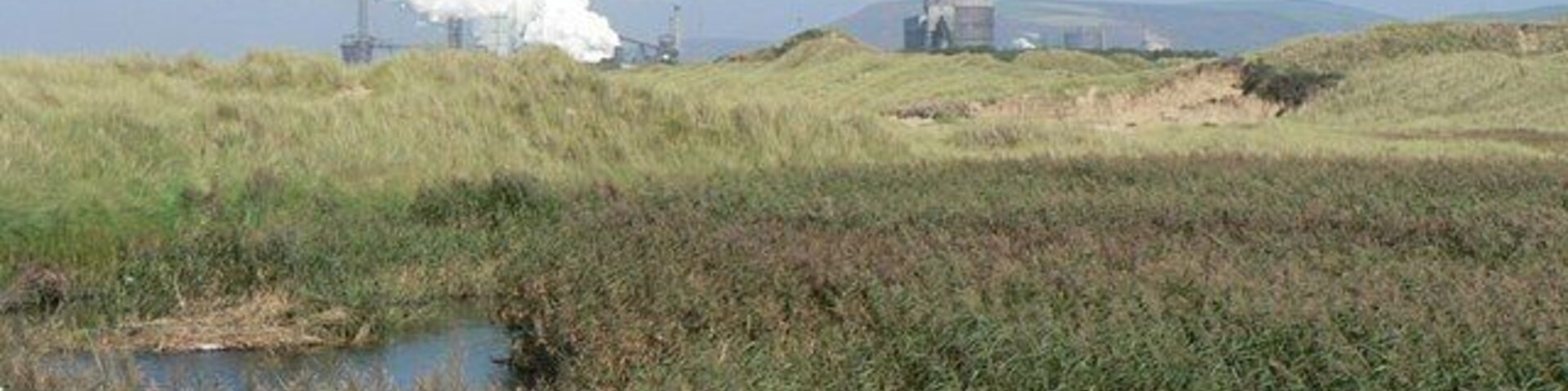 Uma área de pântano com um pequeno lago, estruturas industriais ao longe e um tanque d'água.