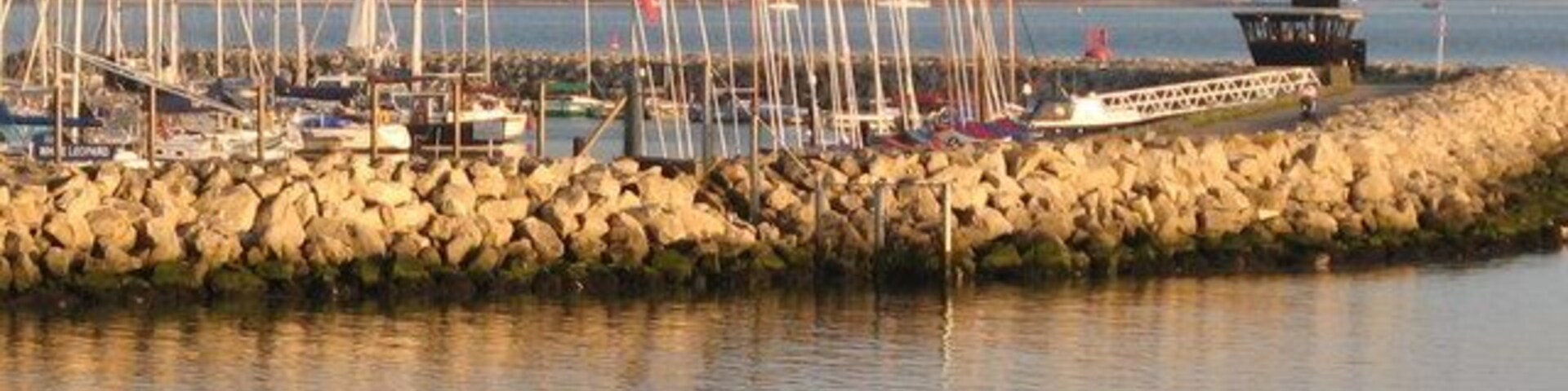 Uma marina com barcos, um paredão rochoso e uma colina arborizada ao fundo.