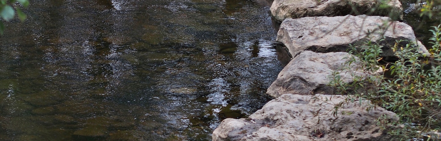 Um riacho cristalino com grandes pedras ao longo das margens.