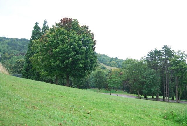 Uma encosta gramada com uma árvore grande e uma estrada ao longe.