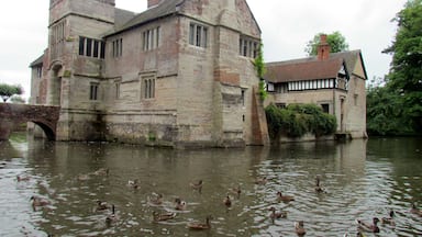 Um edifício histórico à beira de um rio, com patos nadando na água.