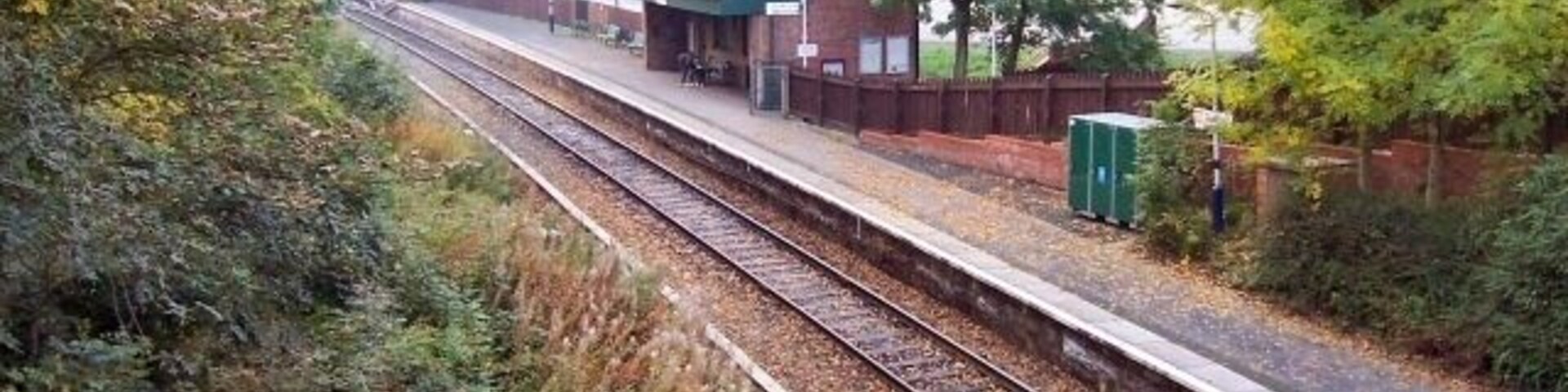 Uma estação ferroviária com várias linhas, uma plataforma e vegetação ao redor.