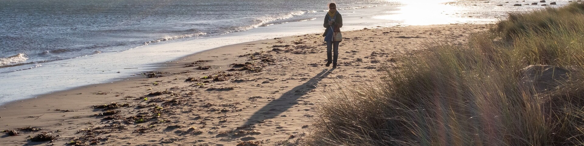 Dog walk at shell bay.
