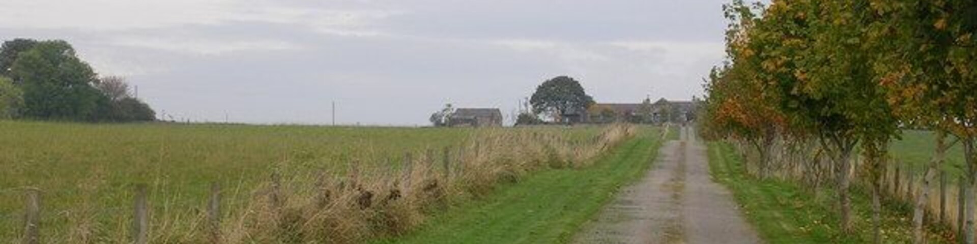 Caminho rural ladeado por grama e árvores, conduzindo a um edifício ao longe.