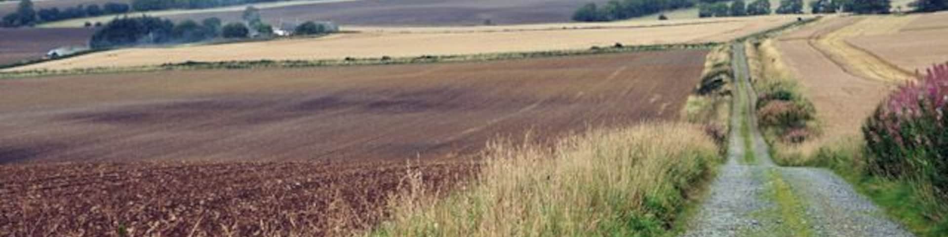 Looking across fields to Cairnmyre farm