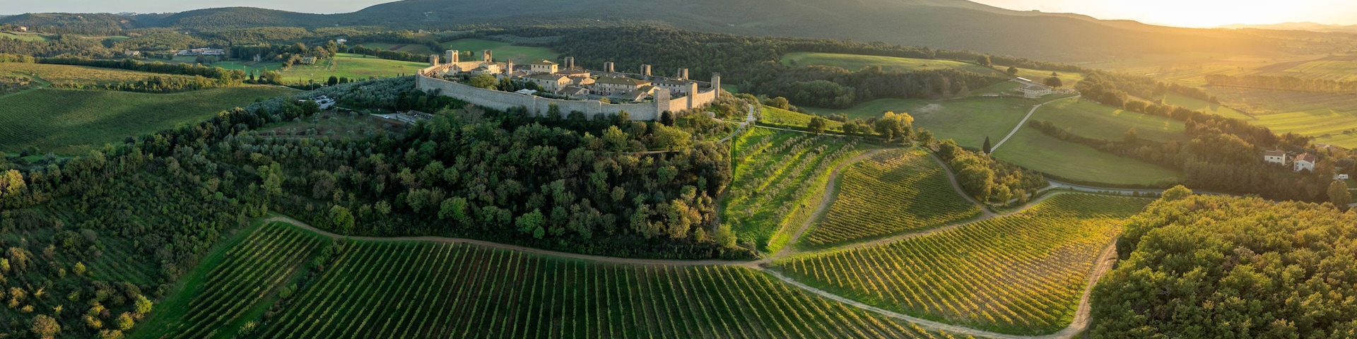 Um castelo rodeado por vinhedos em socalcos e colinas ondulantes.