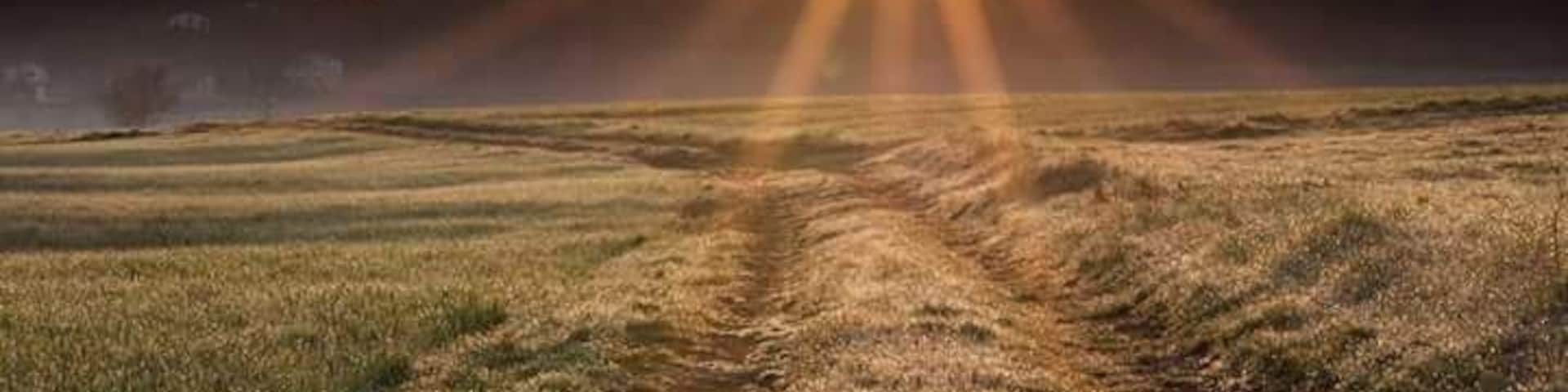 The first sunrise of 2015 spring in Italy. The medieval castle of Monteriggioni waiting for the solar eclipse. #goldenhour