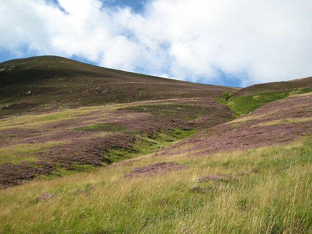 Heathery slopes of Ben Gulabin Looking straight up the hillside from the track which climbs Ben Gulabin more gradually around Carn Dubh.