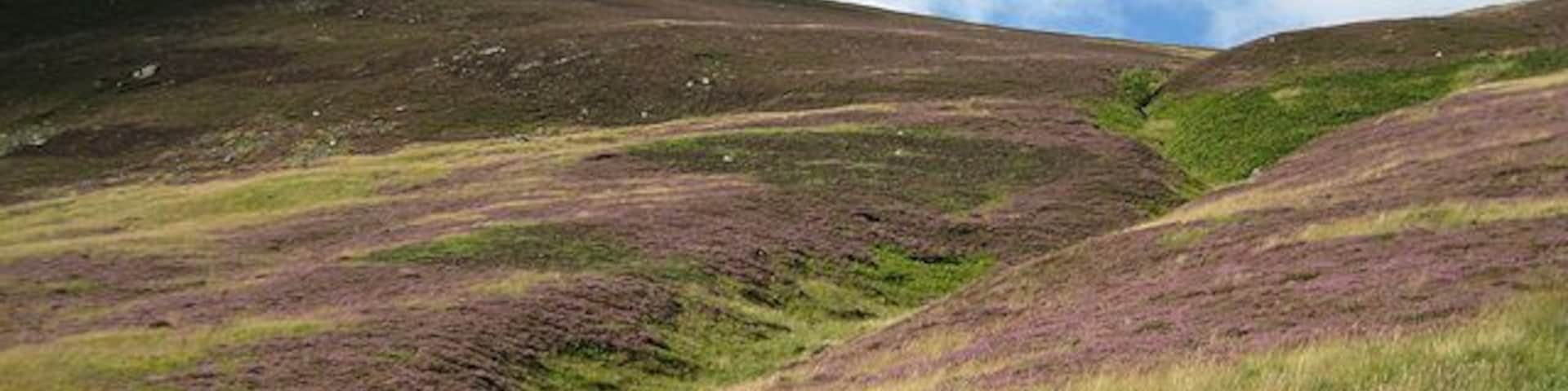 Heathery slopes of Ben Gulabin Looking straight up the hillside from the track which climbs Ben Gulabin more gradually around Carn Dubh.