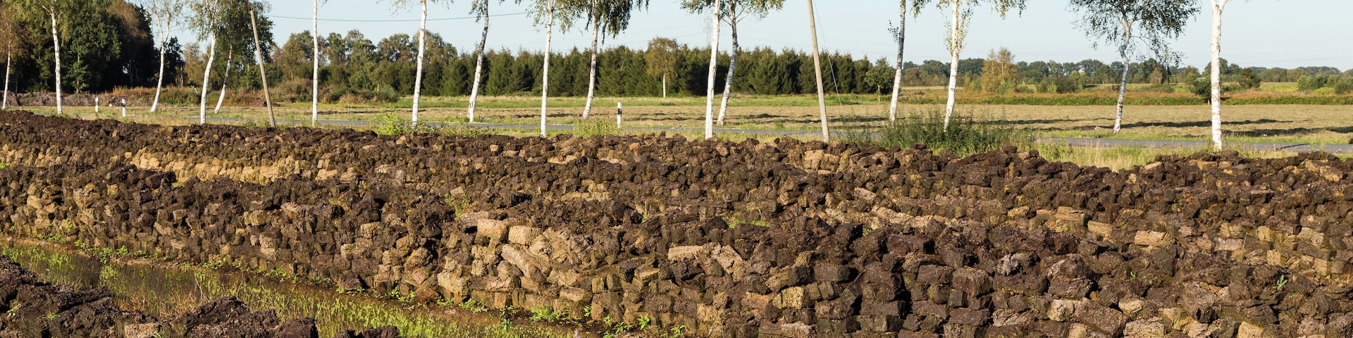 Torfstich bei Petersfehn (Ldkrs. Ammerland)