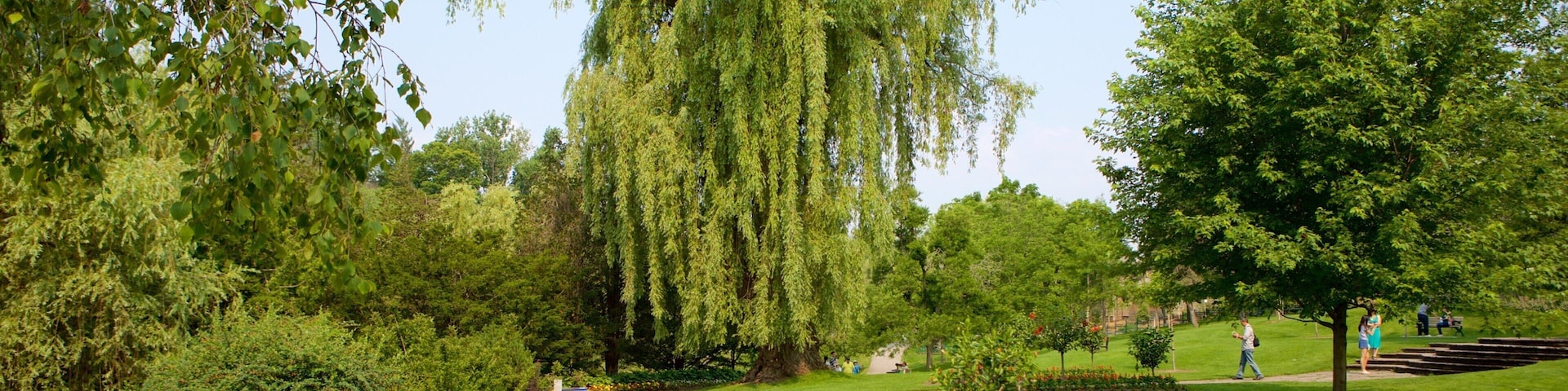 Don Mills mostrando um jardim