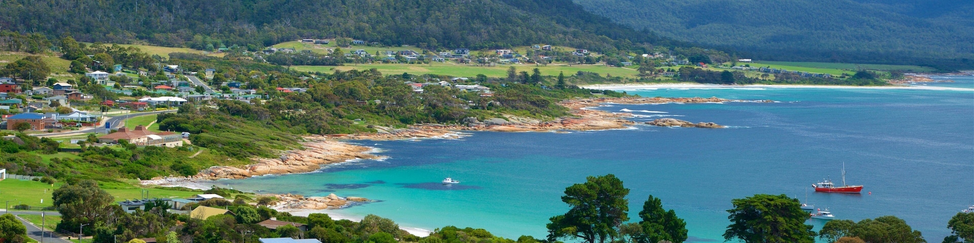 Tasmania showing tranquil scenes, a coastal town and general coastal views