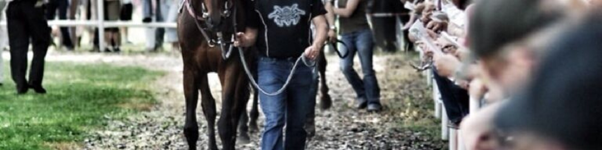 The former race course of the Duchy of Saxe-Coburg and Gotha is located right at the heart of Thuringia. With its fantastic view of the Thuringian Forest and the royal town of Gotha with Friedenstein Castle, the natural race course is a popular recreation area.
The magnificent Victorian-style grandstand has seen many great horse races and lends the course great charm. Boxberg is one of the longest flat race courses in Germany. #KidsFun