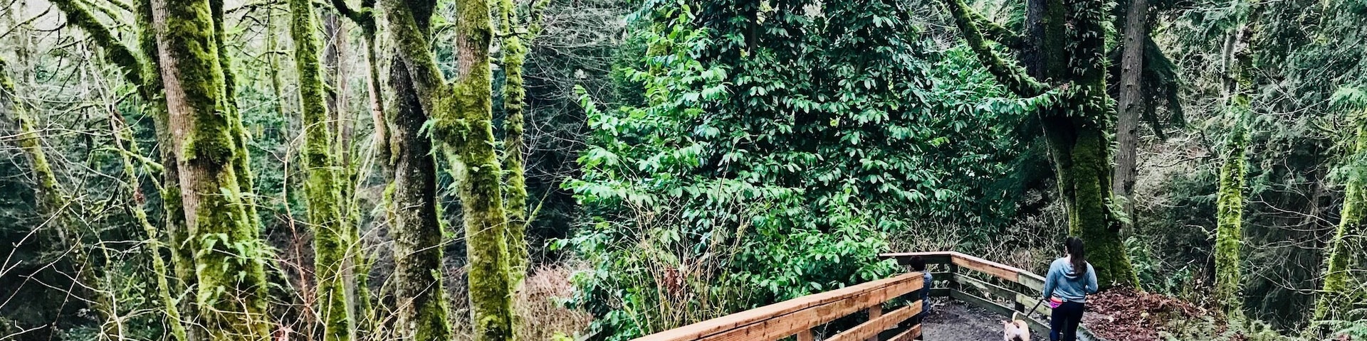 First hike of 2018!
#LifeAtExpedia #Hiking #Beach #Adventure