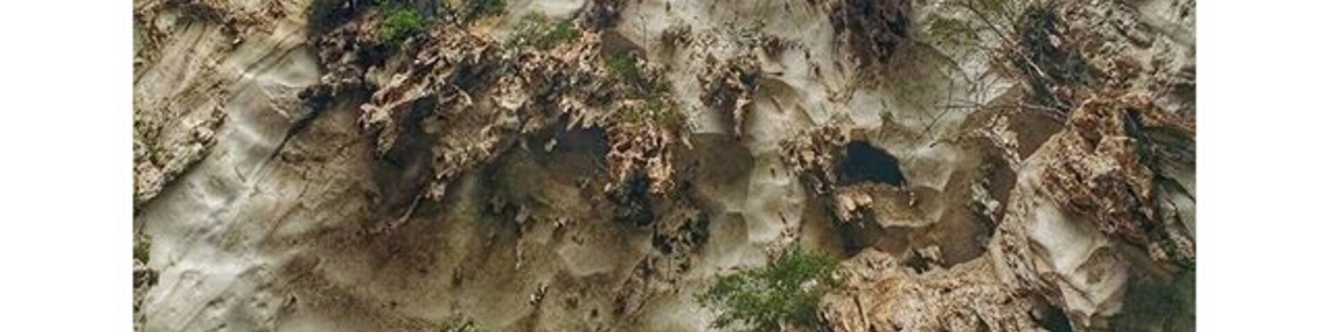 Kuala Lumpur 3/3: Batu Caves
Not exactly in the city, but one of the recommended places to go when you're in the city. It is very much accessible via the KTM Komuter train. It's one of the most popular Hindu shrines and famous for the humongous statue of Lord Murugan. To get to the temple cave, one must climb the 272 steps. There are many caves in the area but the Temple Cave is the most popular. You will also see a lot of pigeons before getting to the stairs.
And oh, beware of the hungry monkeys. 😁
#FUGIAN_cny020816 #FotografiaUnited