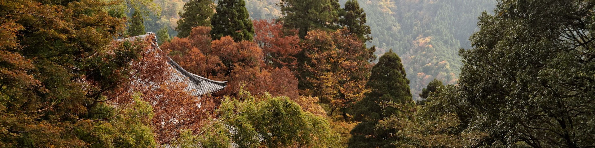 Um templo japonês tradicional aninhado num vale arborizado, com folhagem outonal e montanhas ao longe.