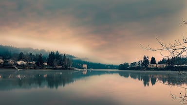 Um lago calmo com reflexos de casas e árvores, rodeado por uma área arborizada e um céu nublado.