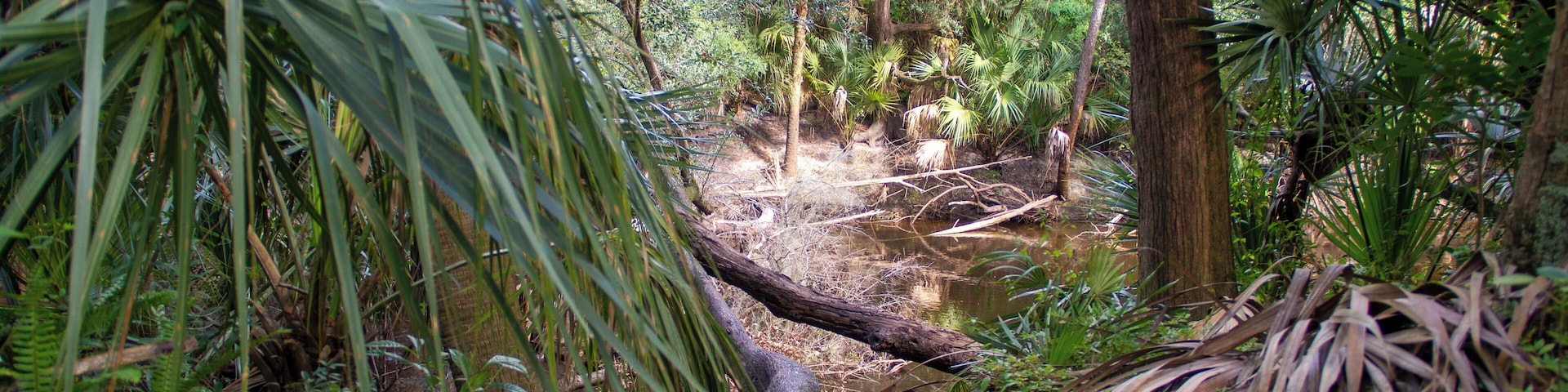This well-known 160-acre site has became a popular camping, hiking, and swimming spot. In addition to a clear cool spring providing 72 degree water to the Alafia River you will find diverse plant life, river cypress swamps, wonderful campsites, plenty of picnic areas, and activities for kids of all ages.