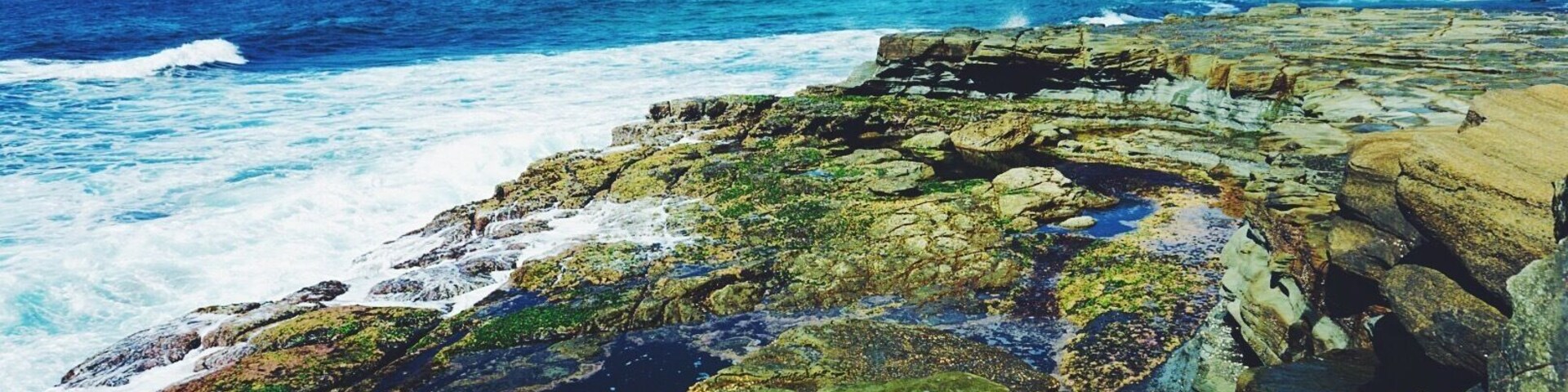 En route Figure Eight Pools, Royal National Park. Make sure you take this hike at low tide as this part of the hike may be inaccessible at high tide #waterlust #australia #hiking #nature