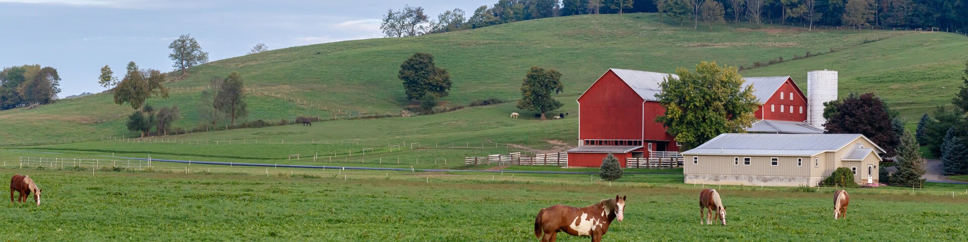 Um campo verde com cavalos, um celeiro vermelho e um silo branco.