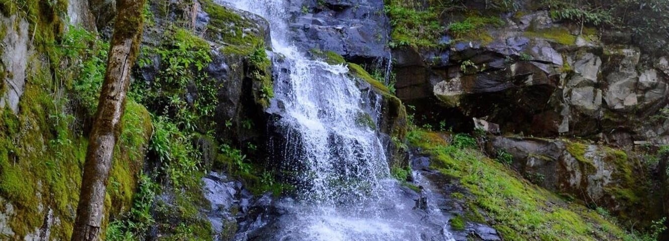 Gorgeous 90 feet waterfall on my backpacking/ hiking/ camping trip to the Great Smoky Mountains National Park. #waterfall #springhiking #nationalparks #outdoor