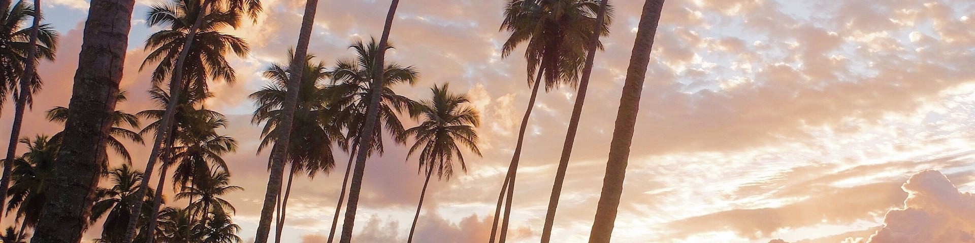 #Takeahike with me along La Entrada in the Dominican Republic. You'll find a beautiful beach lined with palms.