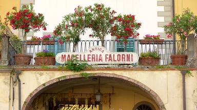 Placa de 'Antica Macelleria Falorni' acima de um edifício com um arco de tijolos.