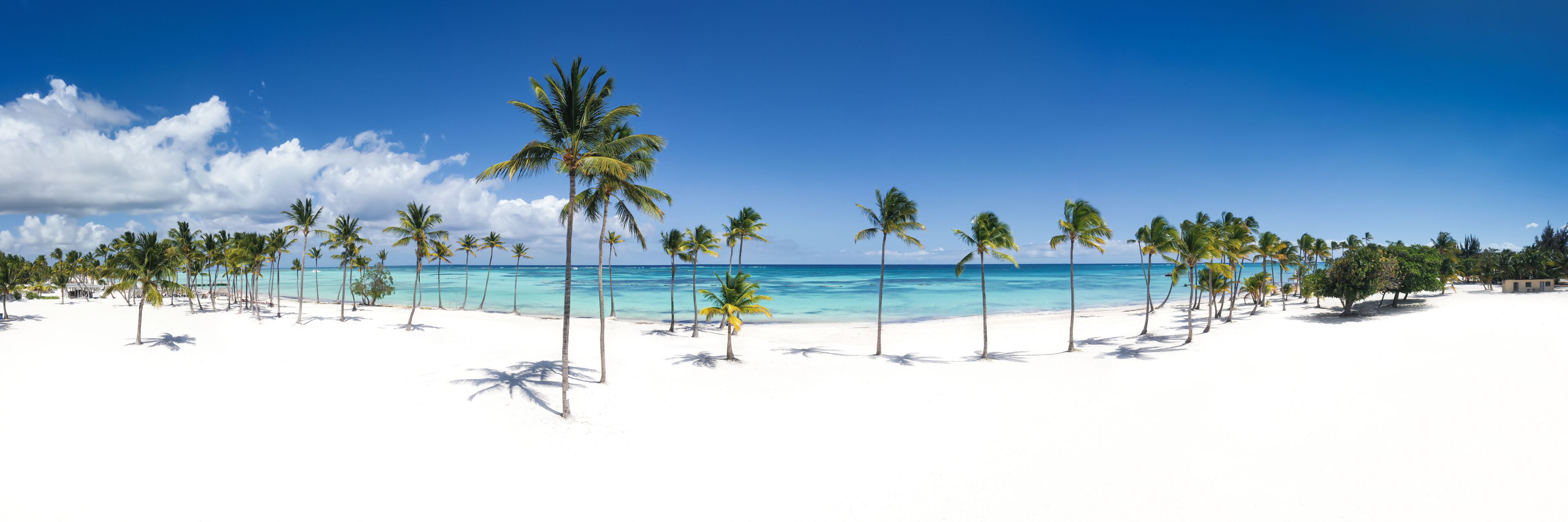 Uma praia com areia branca e palmeiras sob um céu azul límpido.