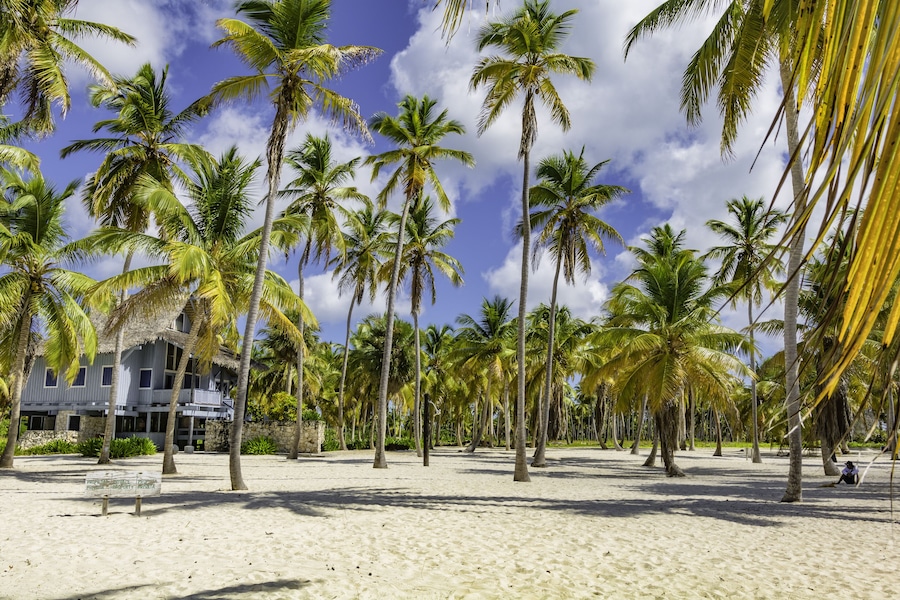 Uma praia com palmeiras e um prédio.