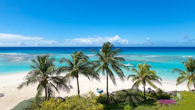 Uma praia tropical com águas azul-turquesa cristalinas, areia branca e palmeiras.